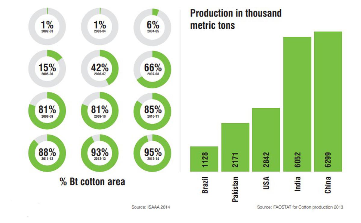 Explained | Genetically modified crops and their regulation in India ... Explained | Genetically modified crops and their regulation in India ...